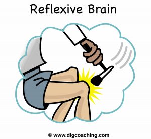 ADHD and Reflexive Feelings – DIG Coaching Practice